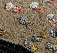 Biography | Steven Siegel: Sculpture, Collage, Film