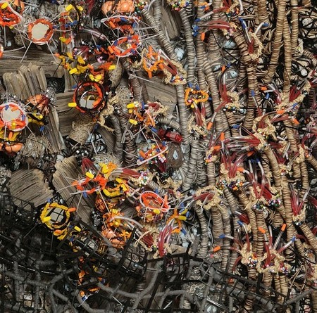 Biography | Steven Siegel: Sculpture, Collage, Film