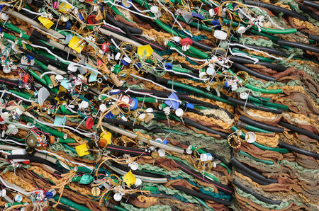 Biography | Steven Siegel: Sculpture, Collage, Film